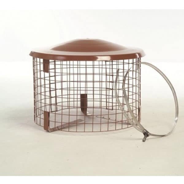 Standard Bird Guards Archives - Chimney Cowl Products